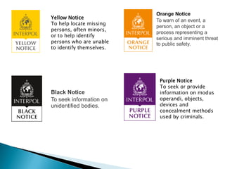 Interpol | PDF