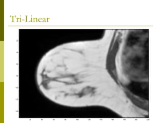 Comparing 3-D Interpolation Techniques | PPT