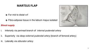 Interposing Flaps Or Grafts In Vesico Vaginal Fistula Seminar 2 Pptx