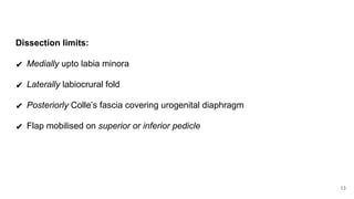 Interposing flaps or grafts in Vesico vaginal fistula seminar 2.pptx