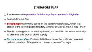Interposing flaps or grafts in Vesico vaginal fistula seminar 2.pptx