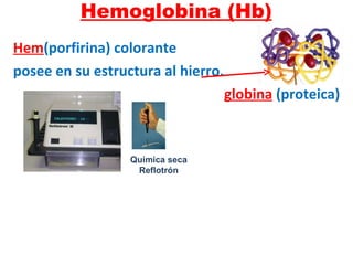 Interpretac hemograma 2011 12 | PPT