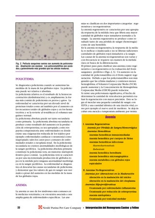 Interpretaci¢n-del-Hemograma-Canino-y-Felino.pdf