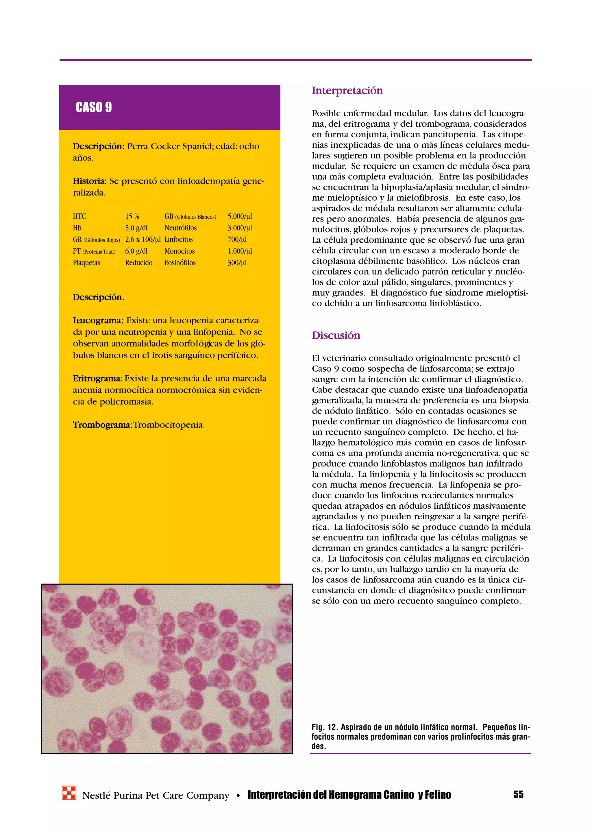Interpretación del hemograma.pdf