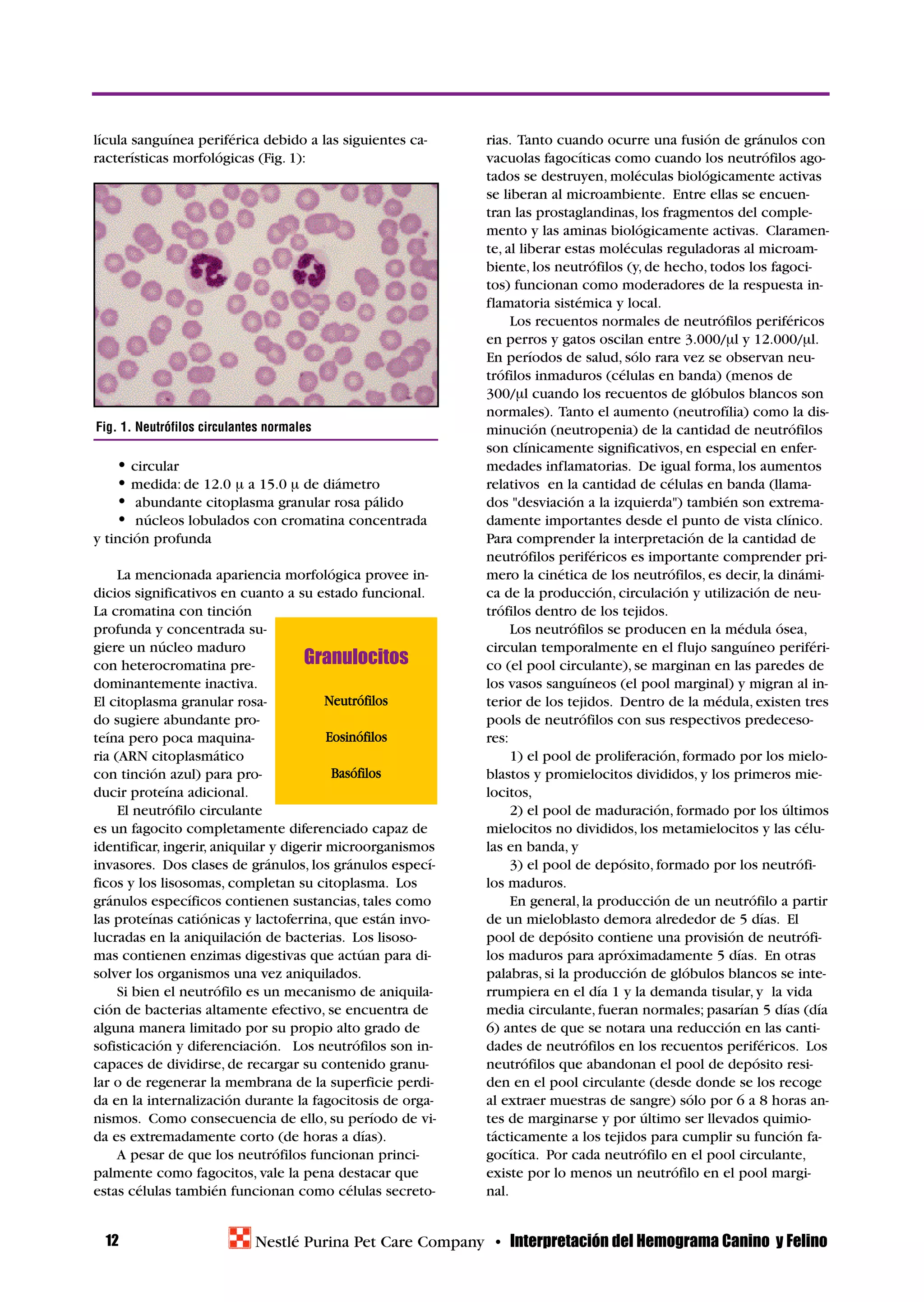 Interpretación del hemograma.pdf