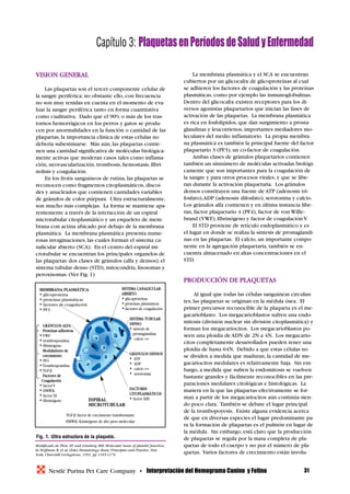 Interpretación del hemograma.pdf