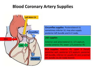 INTERPRETASI EKG 12 LEADS Infarct & Ischemia.pptx