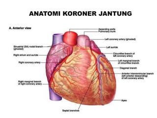 INTERPRETASI EKG 12 LEADS Infarct & Ischemia.pptx