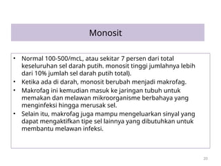 Interpretasi Hasil Pemeriksaan Darah Lengkap | PPTX
