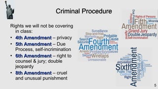 Introduction to Fundamental Rights and Constitutional Interpretation | PDF