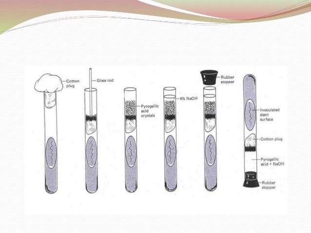 Interpretation of anaerobic condition