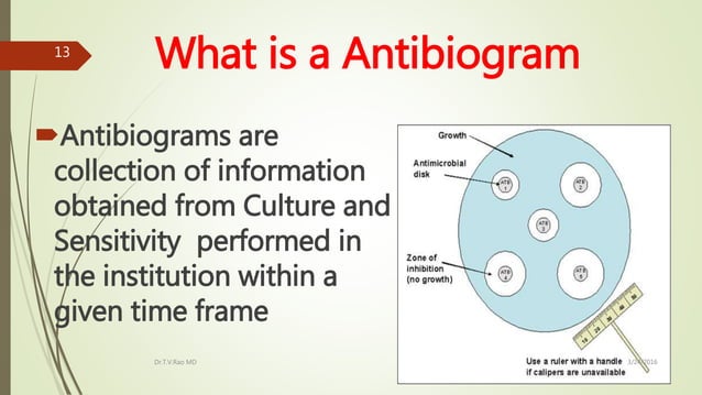 INTERPRETATION OF ANTIBIOGRAMS Trends of Change | PPTX | Infectious Diseases | Diseases and ...