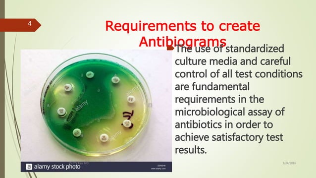 INTERPRETATION OF ANTIBIOGRAMS Trends of Change | PPTX | Infectious ...