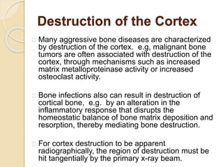 Interpretation of appendicular skeleton (veterinary) | PPTX