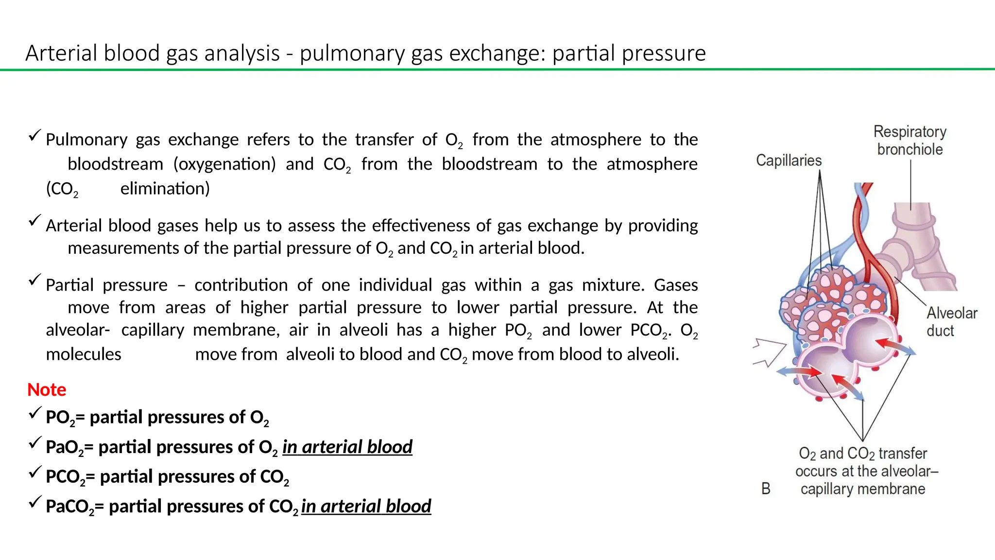 Interpretation_of_arterial_blood_gases_seminar.pptx