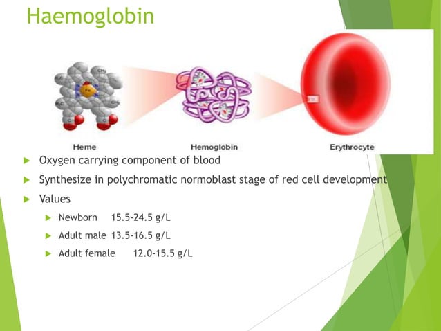 Interpretation of cbc | PPTX | Blood Disorders | Diseases and Conditions