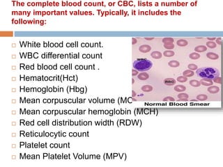 The Science Behind CBC Understanding Your Bloodwork, 56% OFF