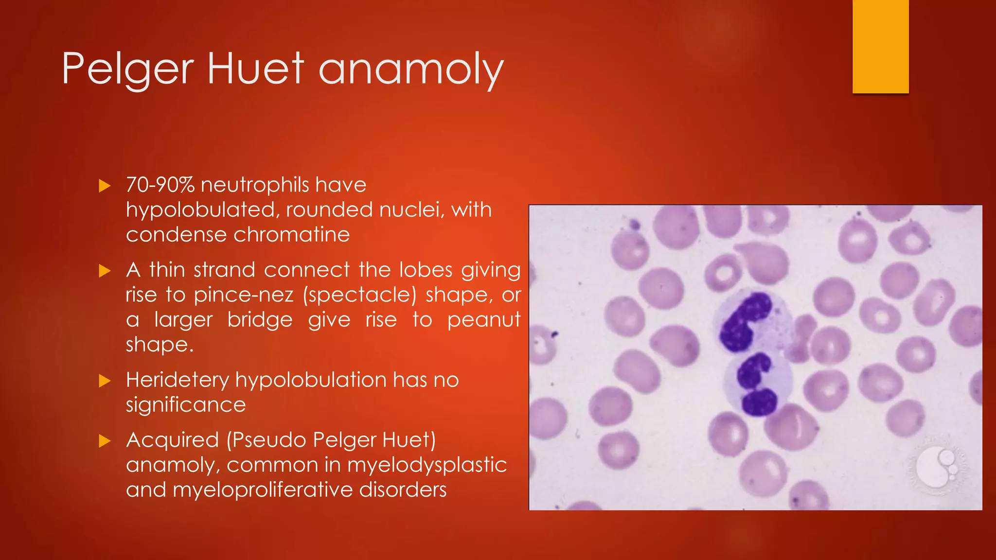 Interpretation of cbc 2 | PPTX