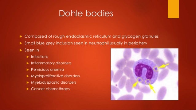 Interpretation of cbc 2