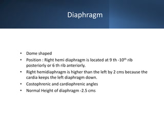 Interpretation of chest xray ppt | PPTX