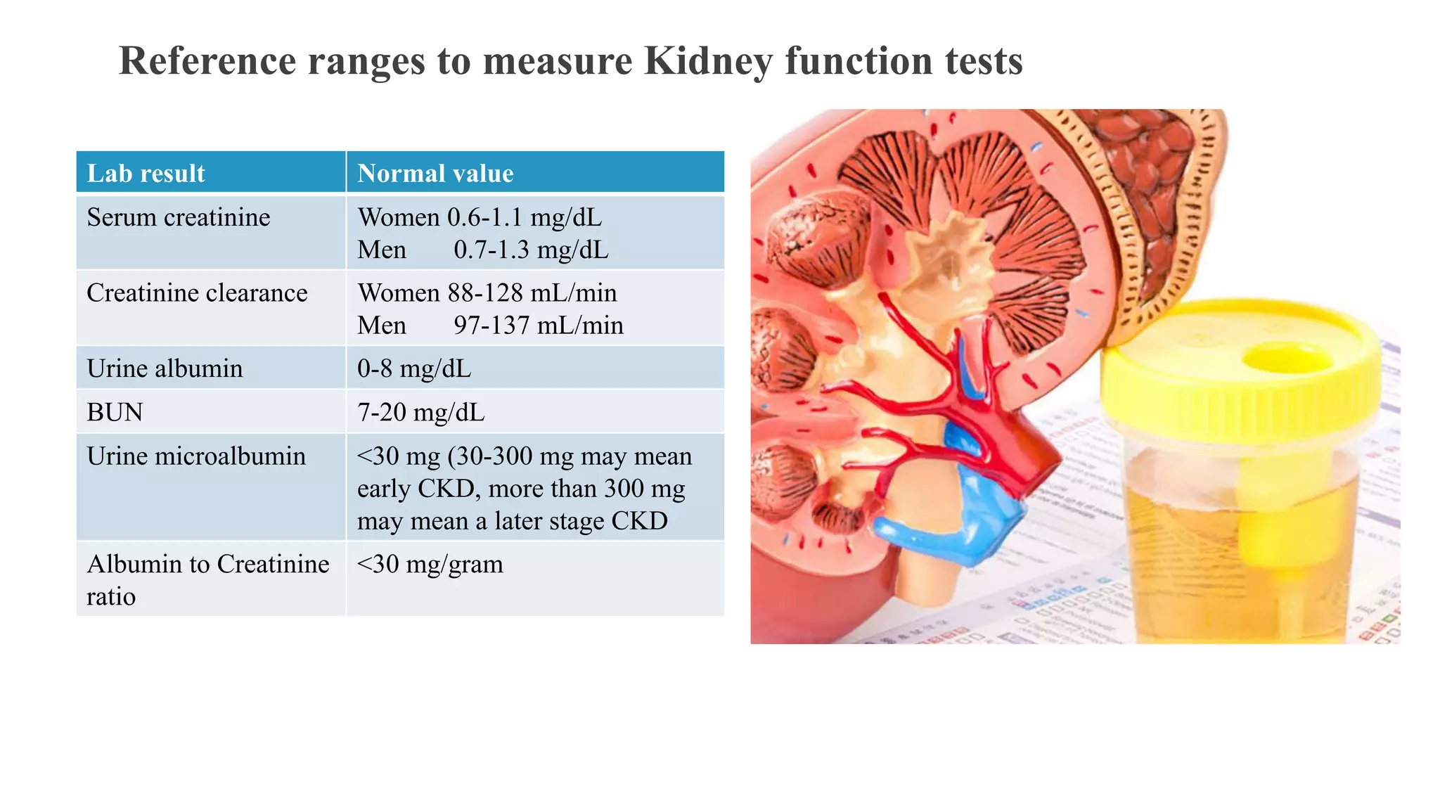 Interpretation of clinical laboratory test | PPTX