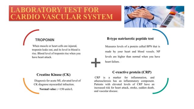 Interpretation of clinical laboratory test | PPTX | Blood Disorders ...