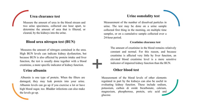 Interpretation of clinical laboratory test | PPTX | Blood Disorders ...