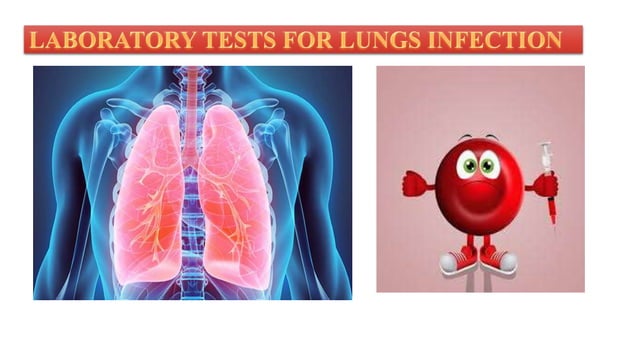 Interpretation of clinical laboratory test | PPTX | Blood Disorders ...