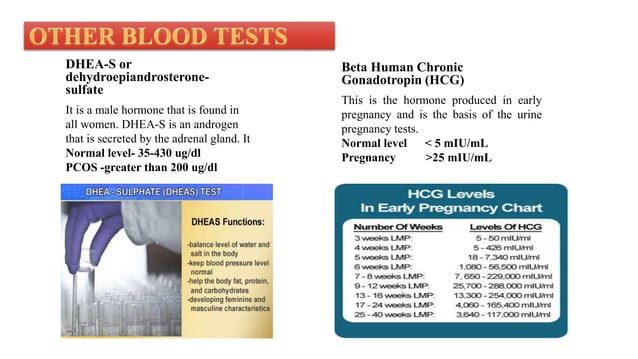 Interpretation of clinical laboratory test | PPTX | Blood Disorders ...
