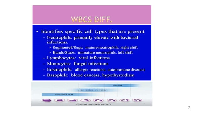 INTERPRETATION OF COMMON LAB TESTS.pptx | Blood Disorders | Diseases ...