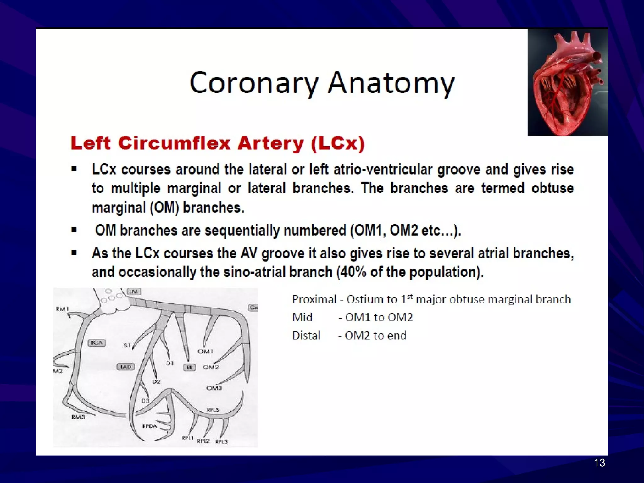 Interpretation of coronary angiogram | PPT
