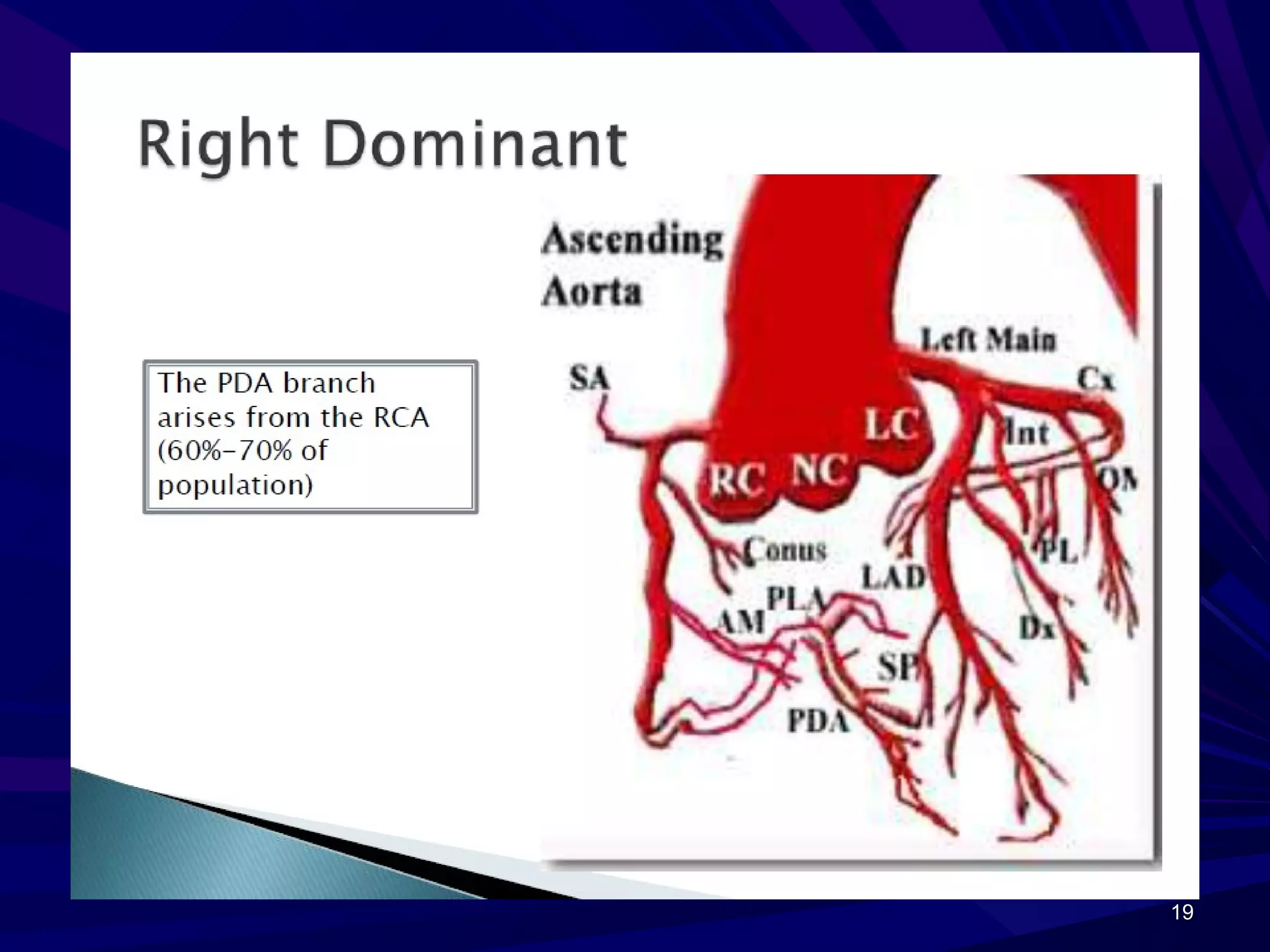 Interpretation of coronary angiogram | PPT