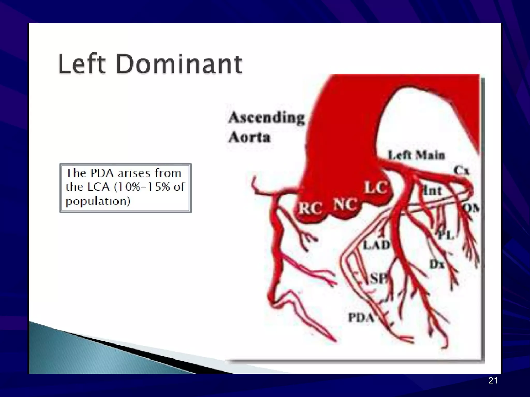 Interpretation of coronary angiogram | PPT