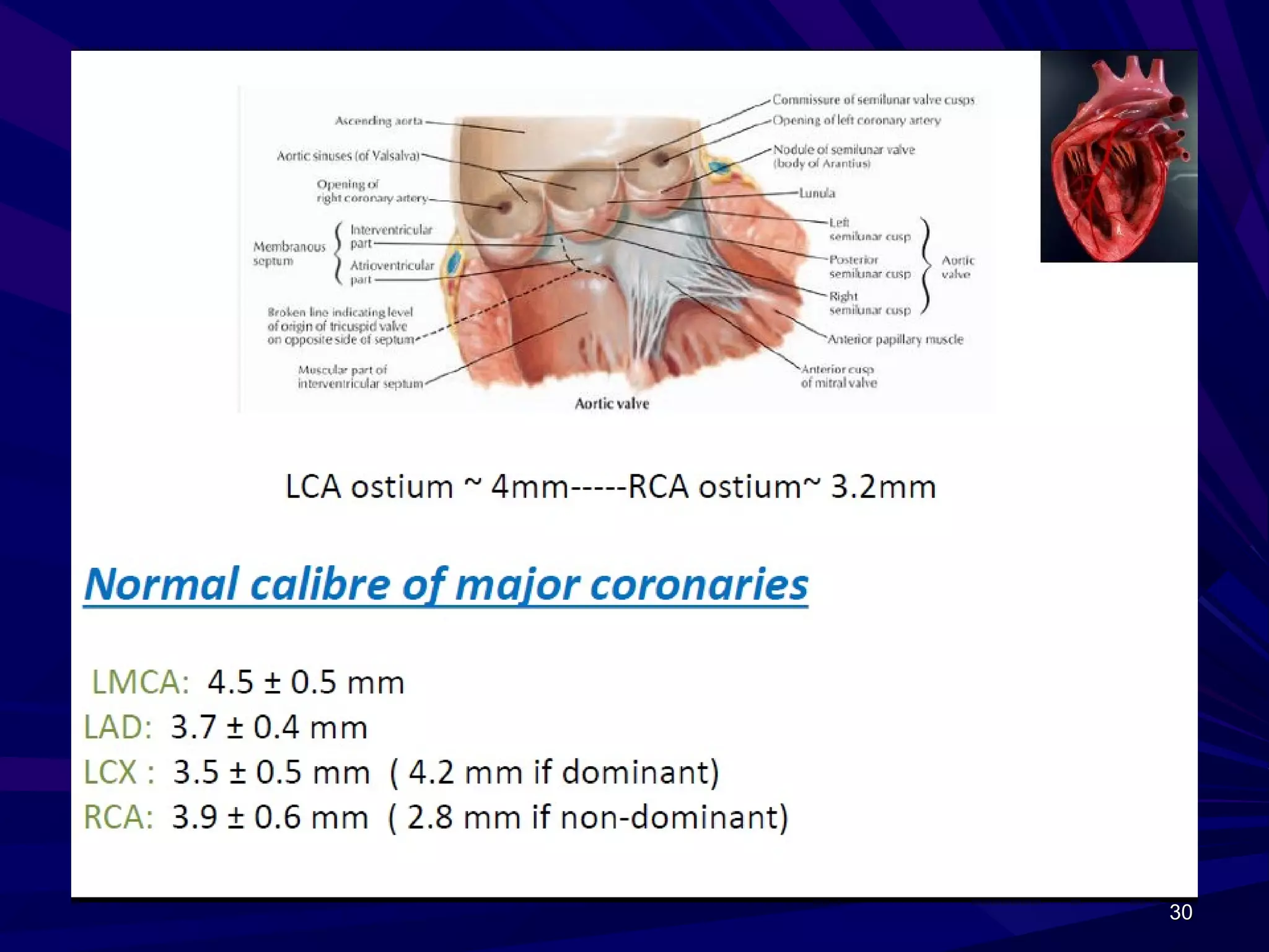 Interpretation of coronary angiogram | PPT
