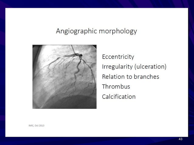 Interpretation of coronary angiogram | PPT