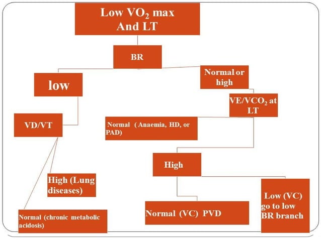 Interpretation of CPET | PPT