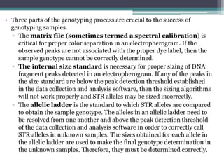Interpretation of dna typing results and codis | PPTX