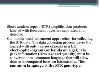 Interpretation of dna typing results and codis | PPTX