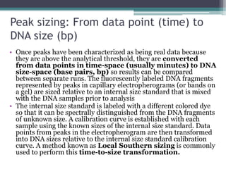 Interpretation of dna typing results and codis | PPTX