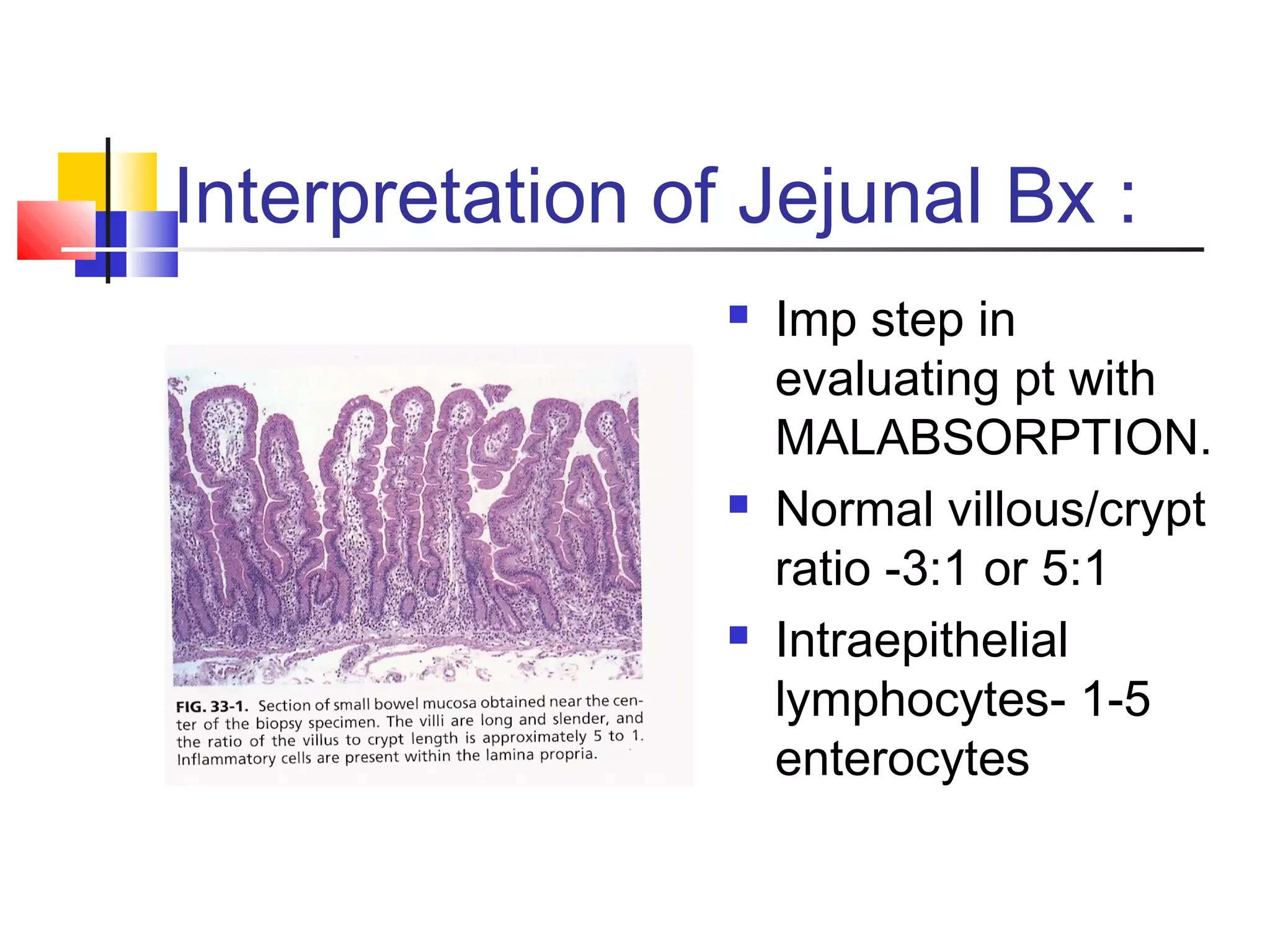 Interpretation of endoscopic intestinal biopsy | PPT