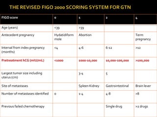 Interpretation Of Hcg | PPT