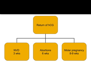 Interpretation Of Hcg | PPT