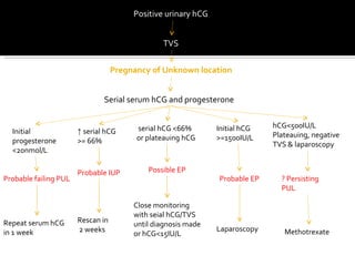 Interpretation Of Hcg | PPT
