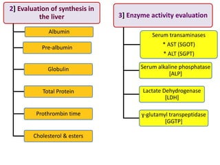 INTERPRETATION OF HEPATIC FUNCTION TESTS.pdf | Digestive Disorders ...