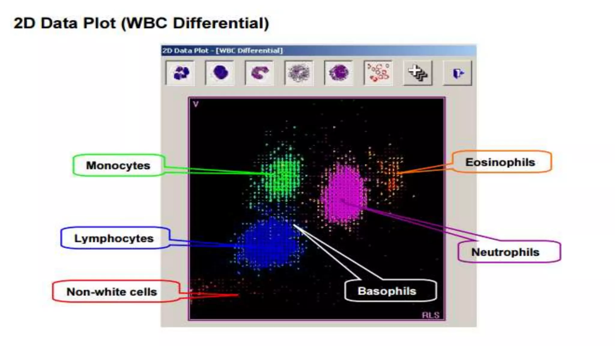 Interpretation of histograms | PPTX