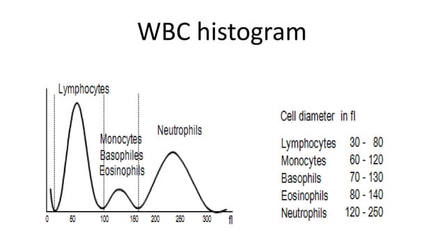 Interpretation of histograms | PPTX