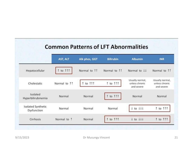 interpretation of lfts.pptx