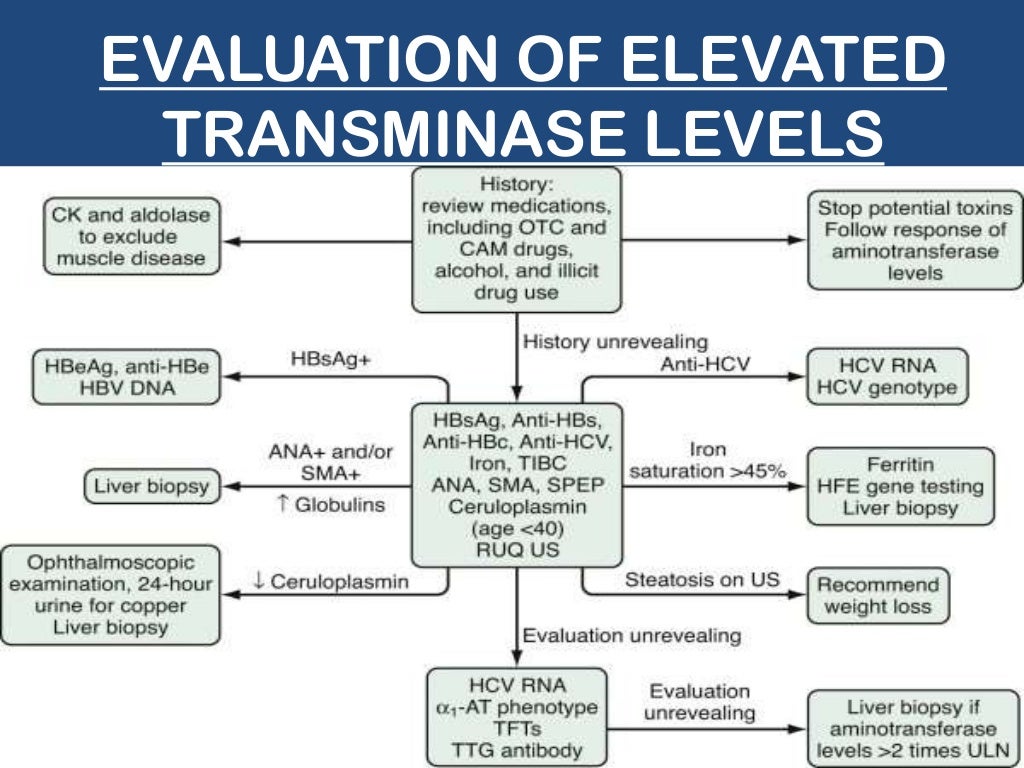 Interpretation Of Liver Function Tests interpretation-of-liver-function-tests