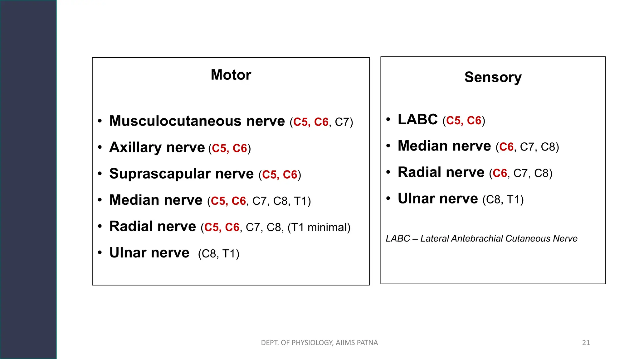 Interpretation of Nerve Conduction Study Findings | PDF