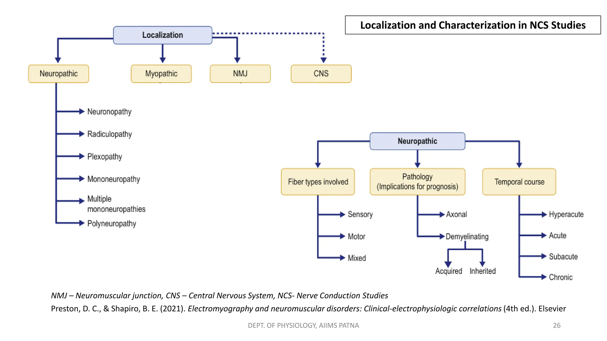 Interpretation of Nerve Conduction Study Findings | PDF